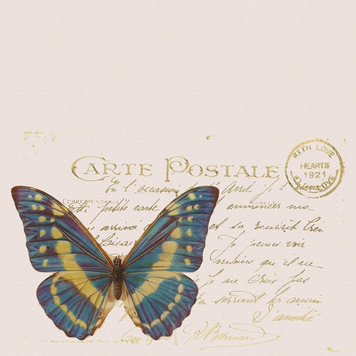 Butterfly Post Card French - Free image on Pixabay