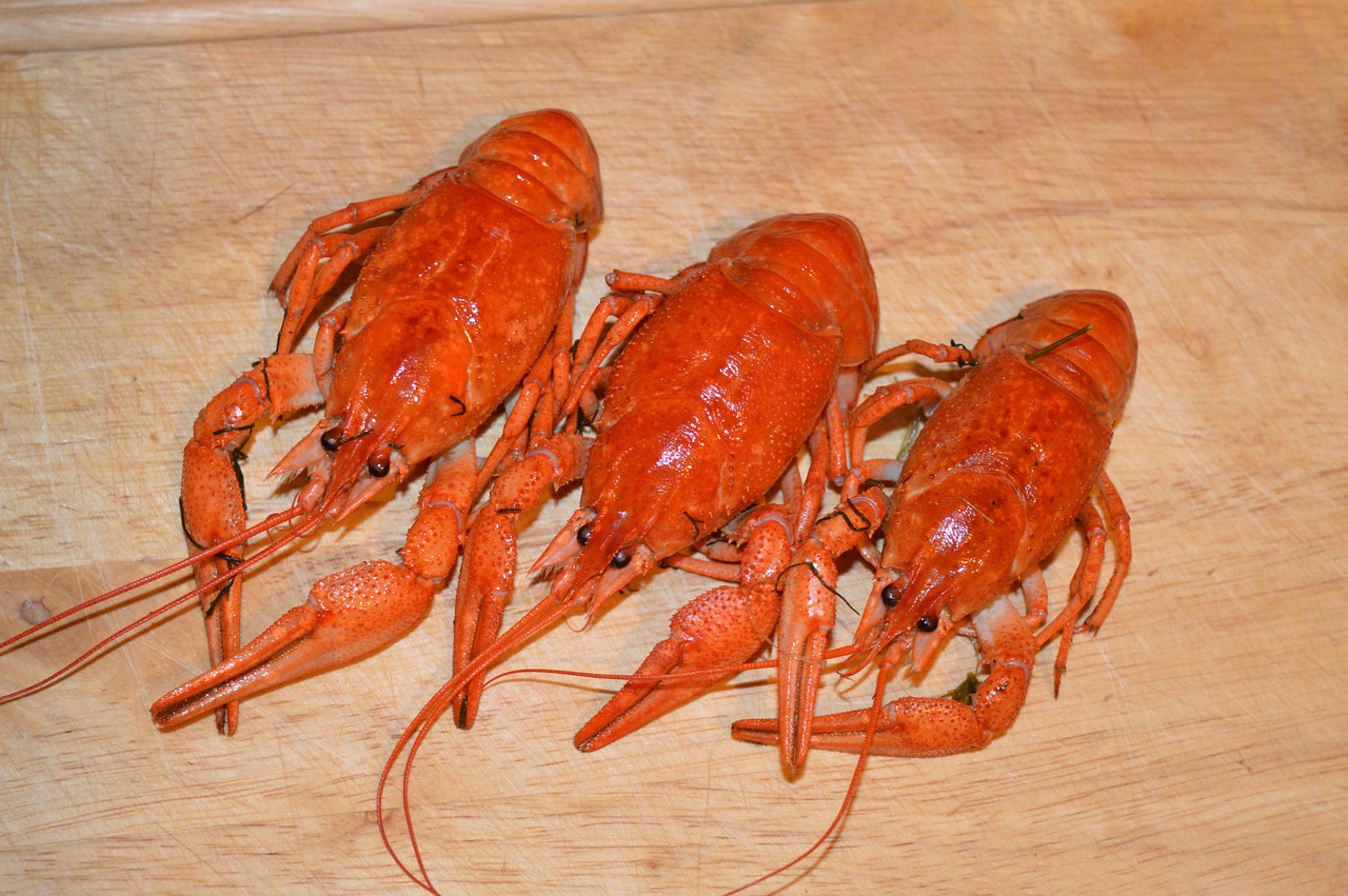 200+ Free Crayfish & Lobster Images - Pixabay