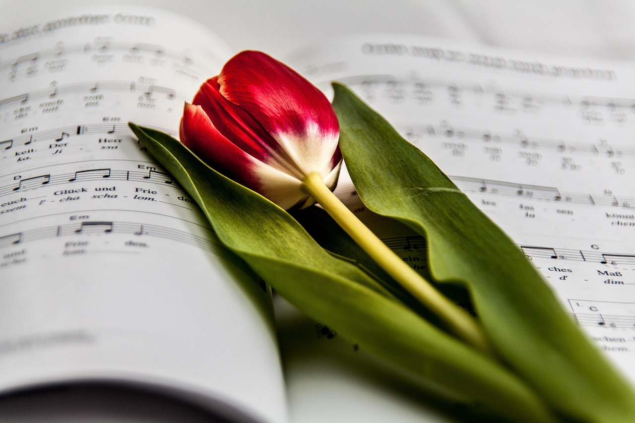 40,000+ Free Grades 4 & Background Images - Pixabay