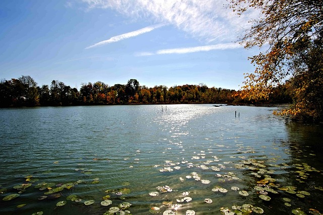 Lago De Agua Dulce Interior Luz - Foto gratis en Pixabay