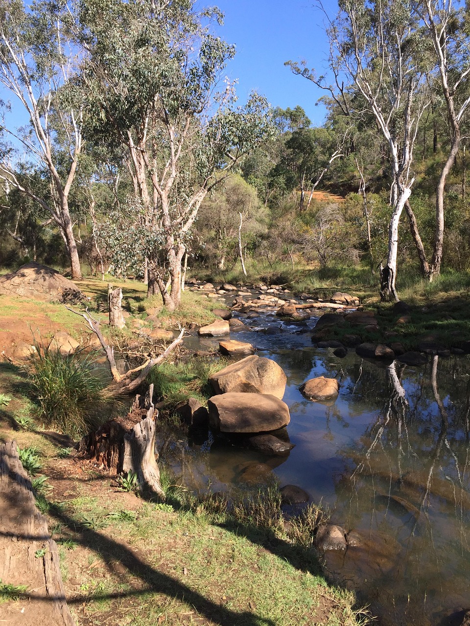 Australian Creek Wilderness - Free photo on Pixabay