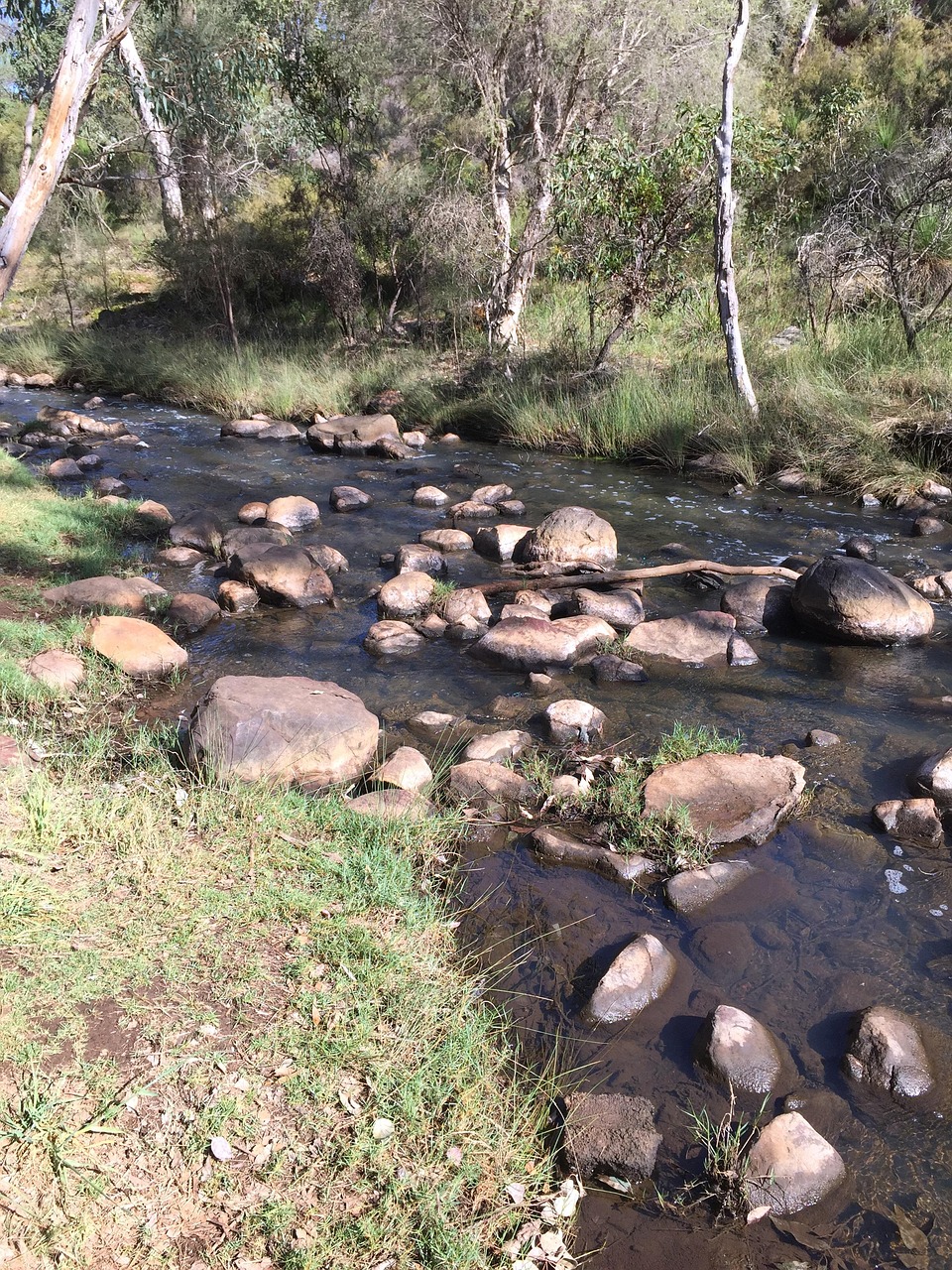 Australian Creek Wilderness - Free photo on Pixabay
