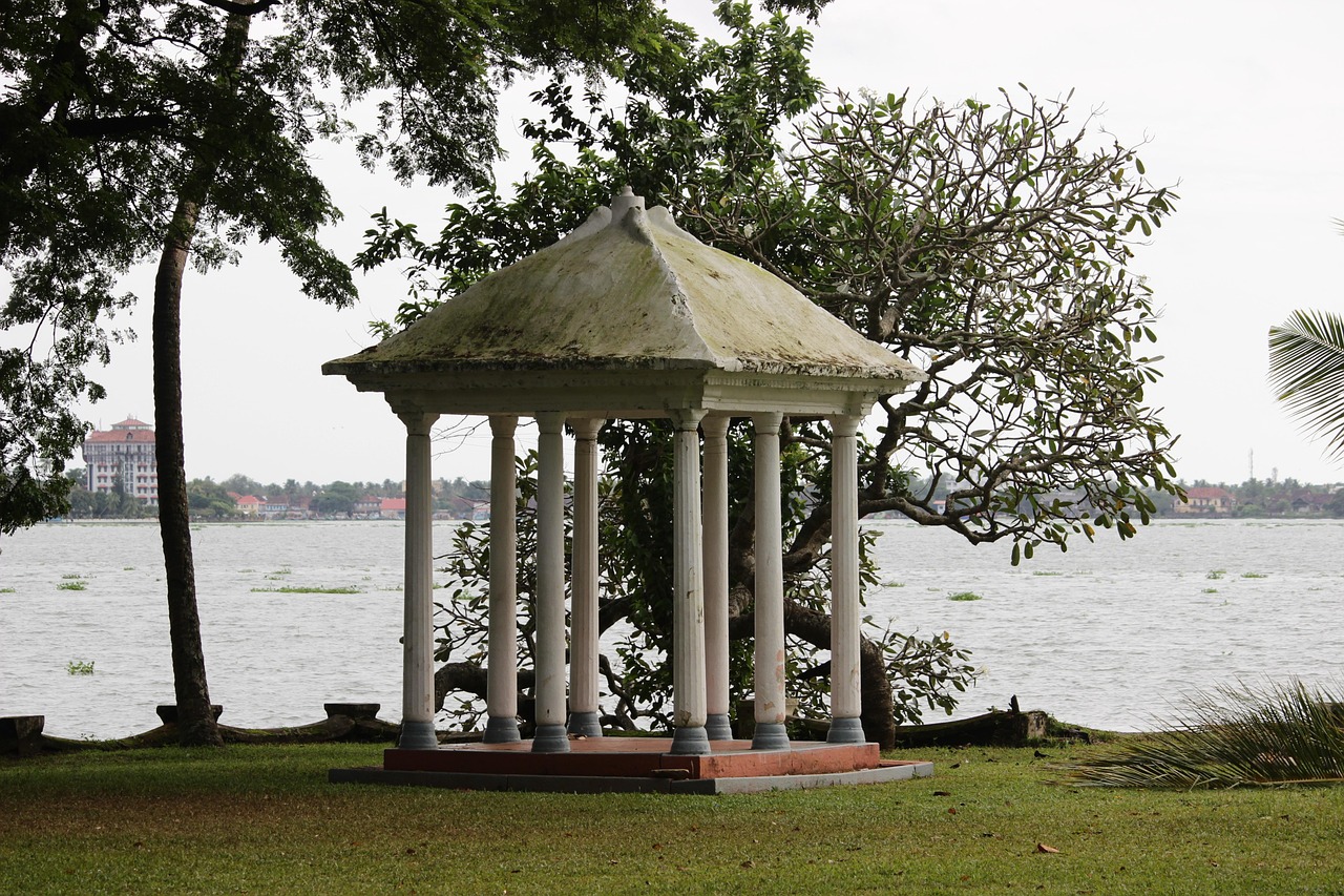 Lago Cochin Kerala - Foto gratis su Pixabay - Pixabay