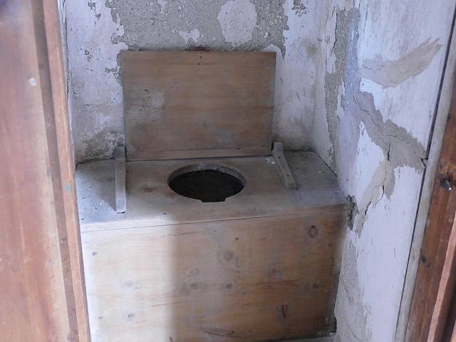 Toilet Primitive Castle - Free photo on Pixabay - Pixabay