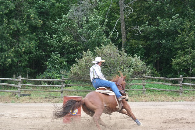 Cowboy Rodeo Barrel Racing - Free photo on Pixabay - Pixabay
