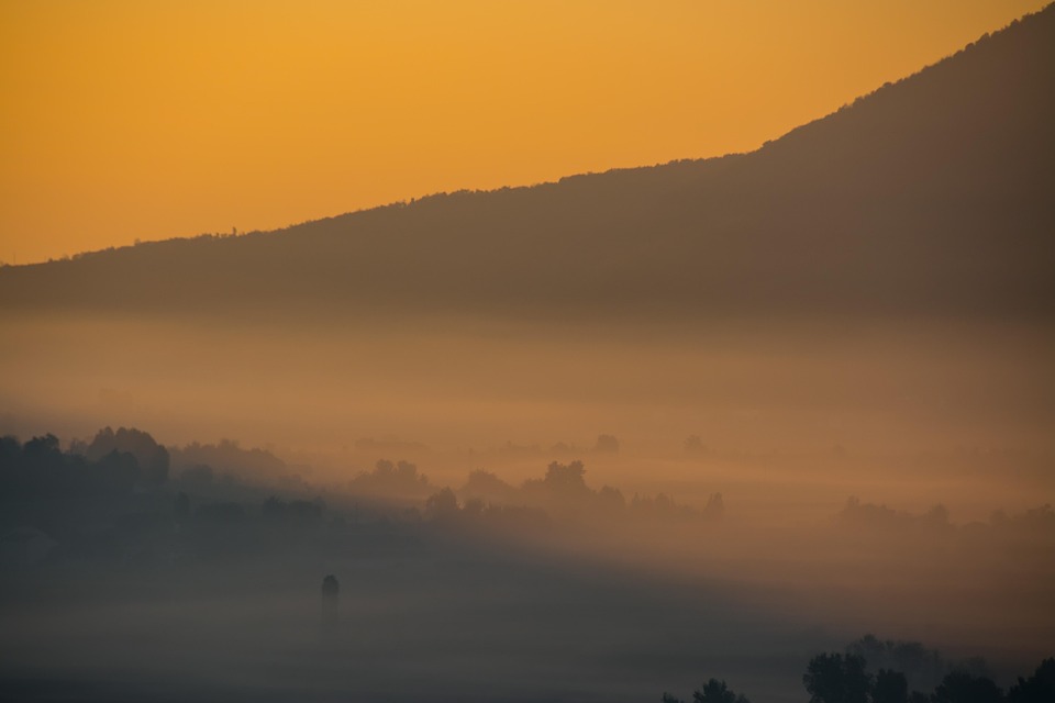 Fog Morning Sun Backlighting - Free photo on Pixabay