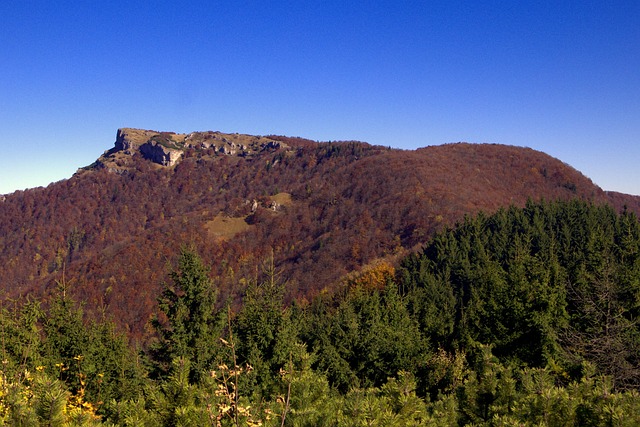 Slovakia Mountains Autumn - Free photo on Pixabay - Pixabay
