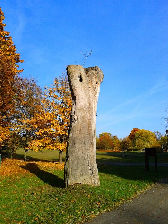 Árvore Natureza Estátua - Foto gratuita no Pixabay