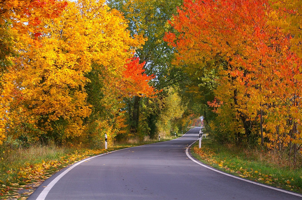 Sfondo Desktop Strada Autunnale SfondiLandia.it | Sfondo In HD Gratis