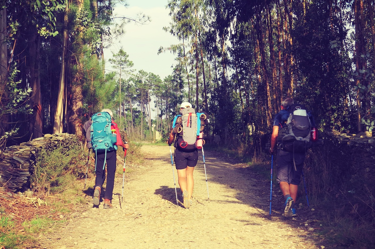 Wandern Jakobsweg - Kostenloses Foto auf Pixabay