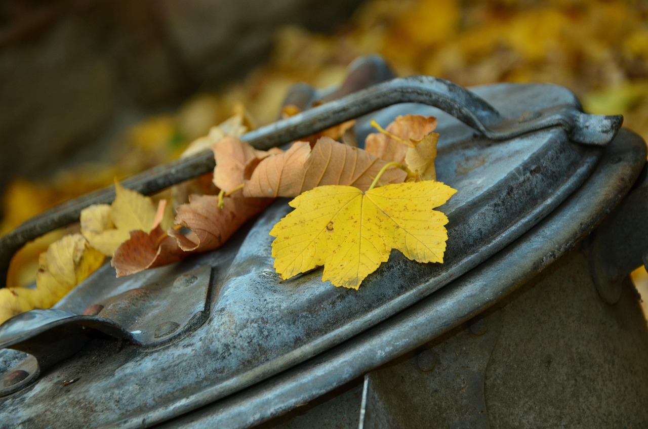 Fall Leaves Garbage Can Leaf - Free photo on Pixabay - Pixabay