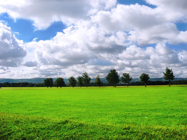 Irlande Pelouse Paysage - Photo gratuite sur Pixabay - Pixabay