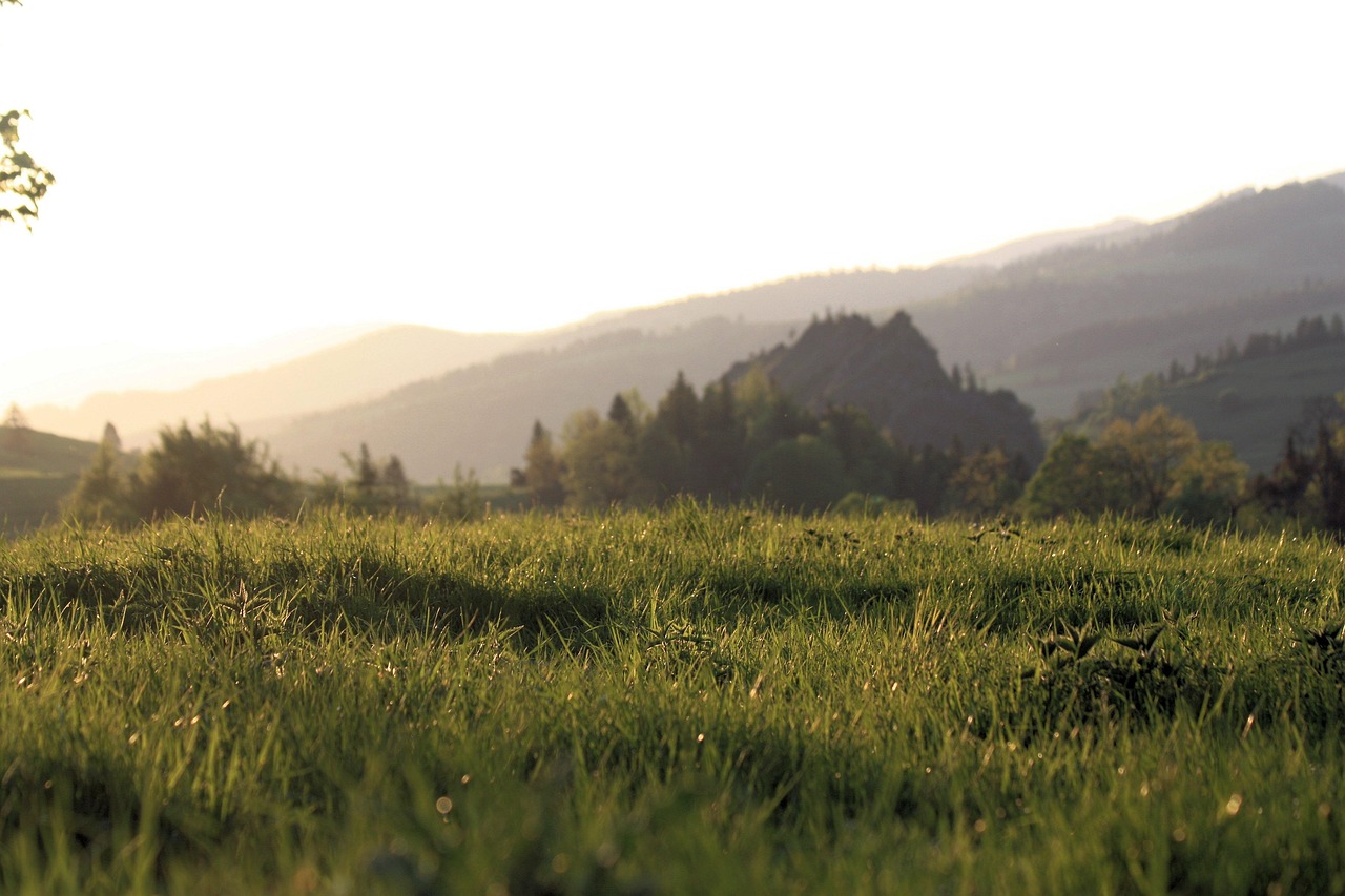 Pieniny Góry - Darmowe zdjęcie na Pixabay - Pixabay