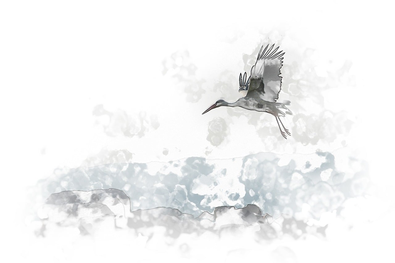 Explore 47+ Free Animal Migration Illustrations: Download Now - Pixabay