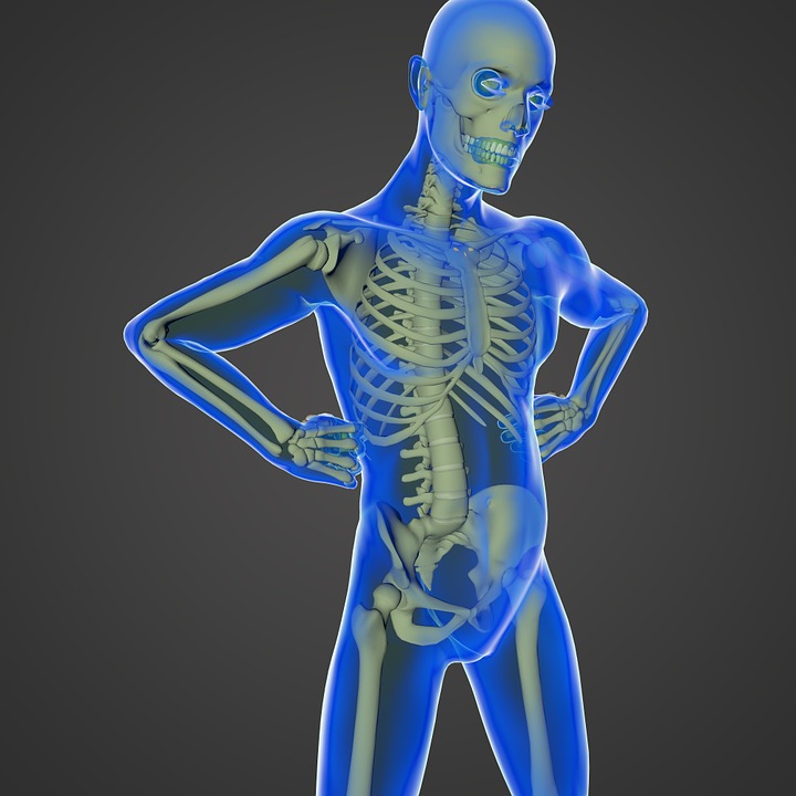 Download Body, Medicine, Health. Royalty-Free Stock Illustration Image ...