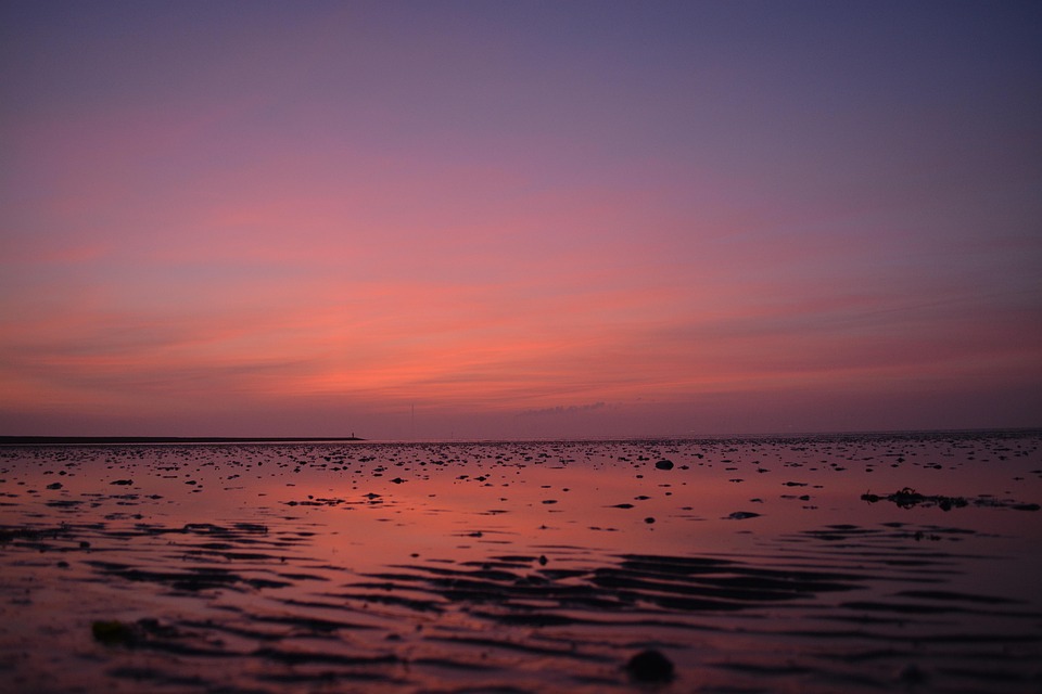 North Sea Watt Blue Hour Evening - Free photo on Pixabay - Pixabay