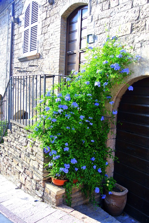 Italy Flowers Country - Free photo on Pixabay