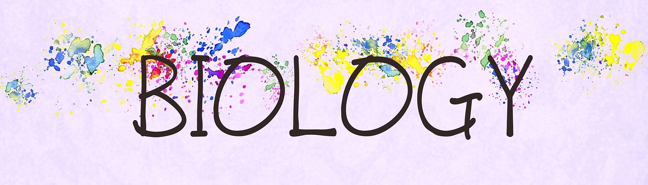Biologie Banner Unterrichten - Kostenloses Bild auf Pixabay