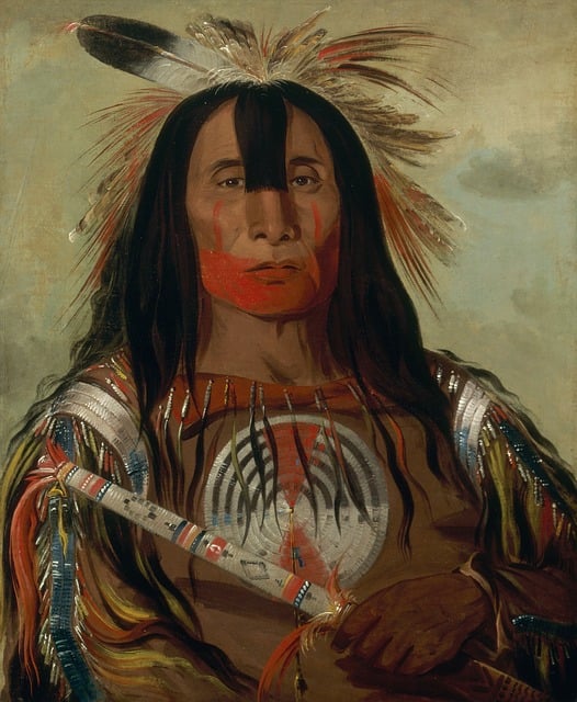100,000+ Free Native Art & Native American Images - Pixabay