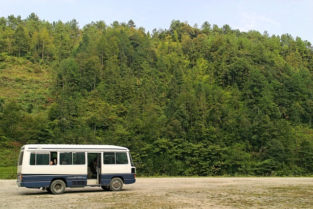Bus Landscape Travel - Free photo on Pixabay
