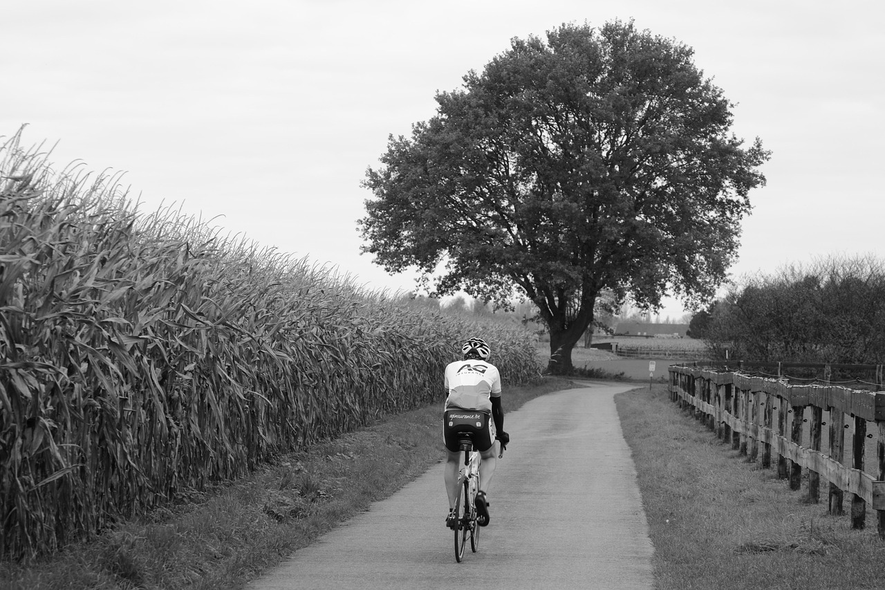 Meer dan 100 gratis afbeeldingen van Wielrennen en Sport - Pixabay