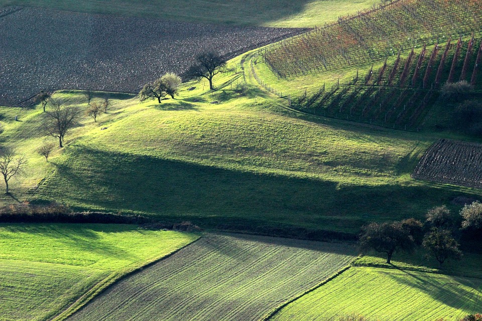 Autumn Landscape Green Fall - Free photo on Pixabay - Pixabay