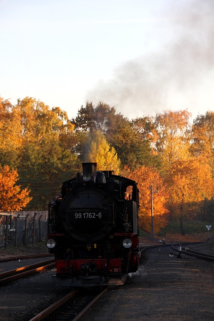 Steam Locomotive Narrow Gauge Fall - Free photo on Pixabay - Pixabay