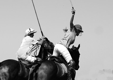 30+ Free Polo Game & Polo Images - Pixabay