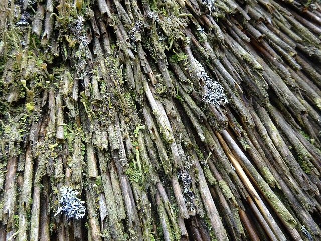 Roof Thatched Weave - Free photo on Pixabay - Pixabay