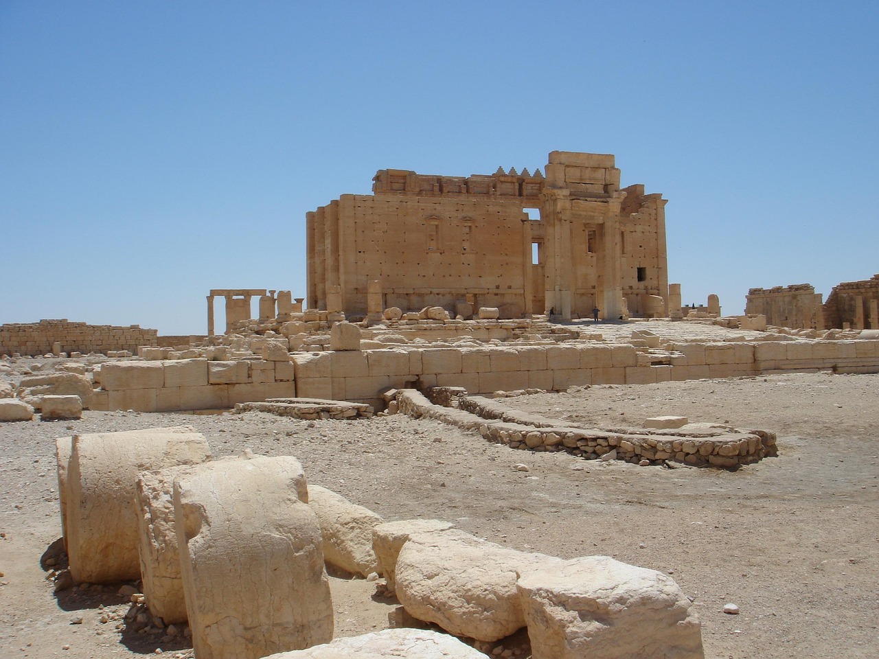 10+ Free Posse & Palmyra Images - Pixabay
