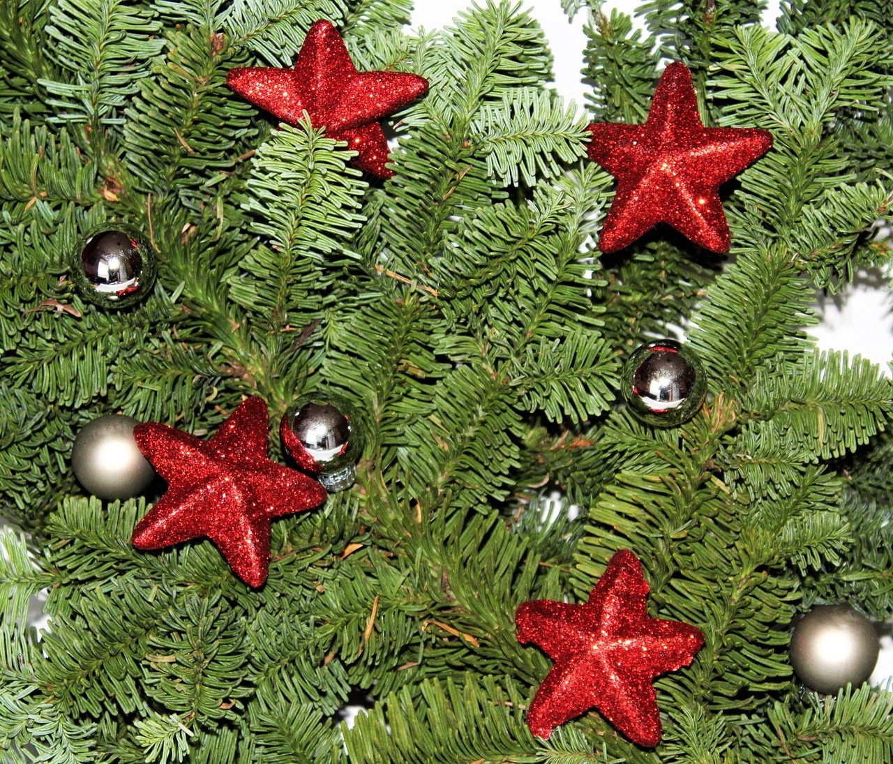Christmas Star - Free photo on Pixabay - Pixabay