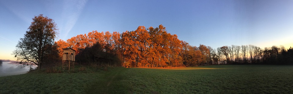 Landscape Fall Tomorrow Morning - Free photo on Pixabay - Pixabay