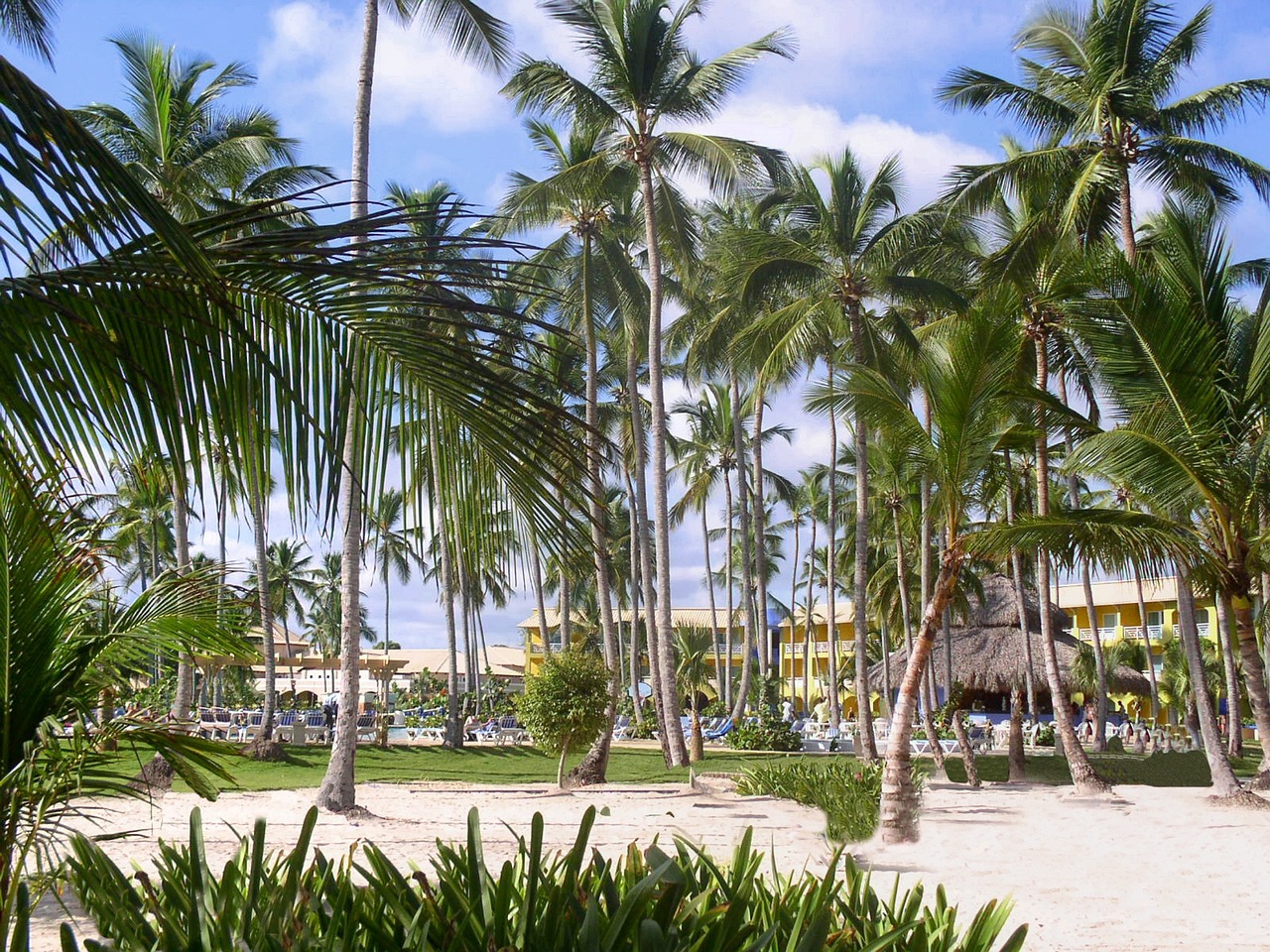 400+ Free Dominican Republic & Nature Images - Pixabay