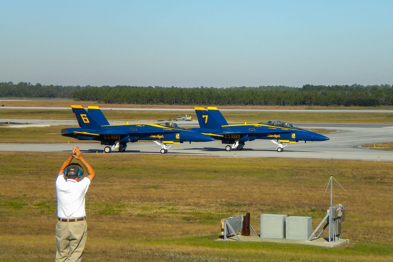Ángeles Azules F18 Avispón Avión - Foto gratis en Pixabay - Pixabay