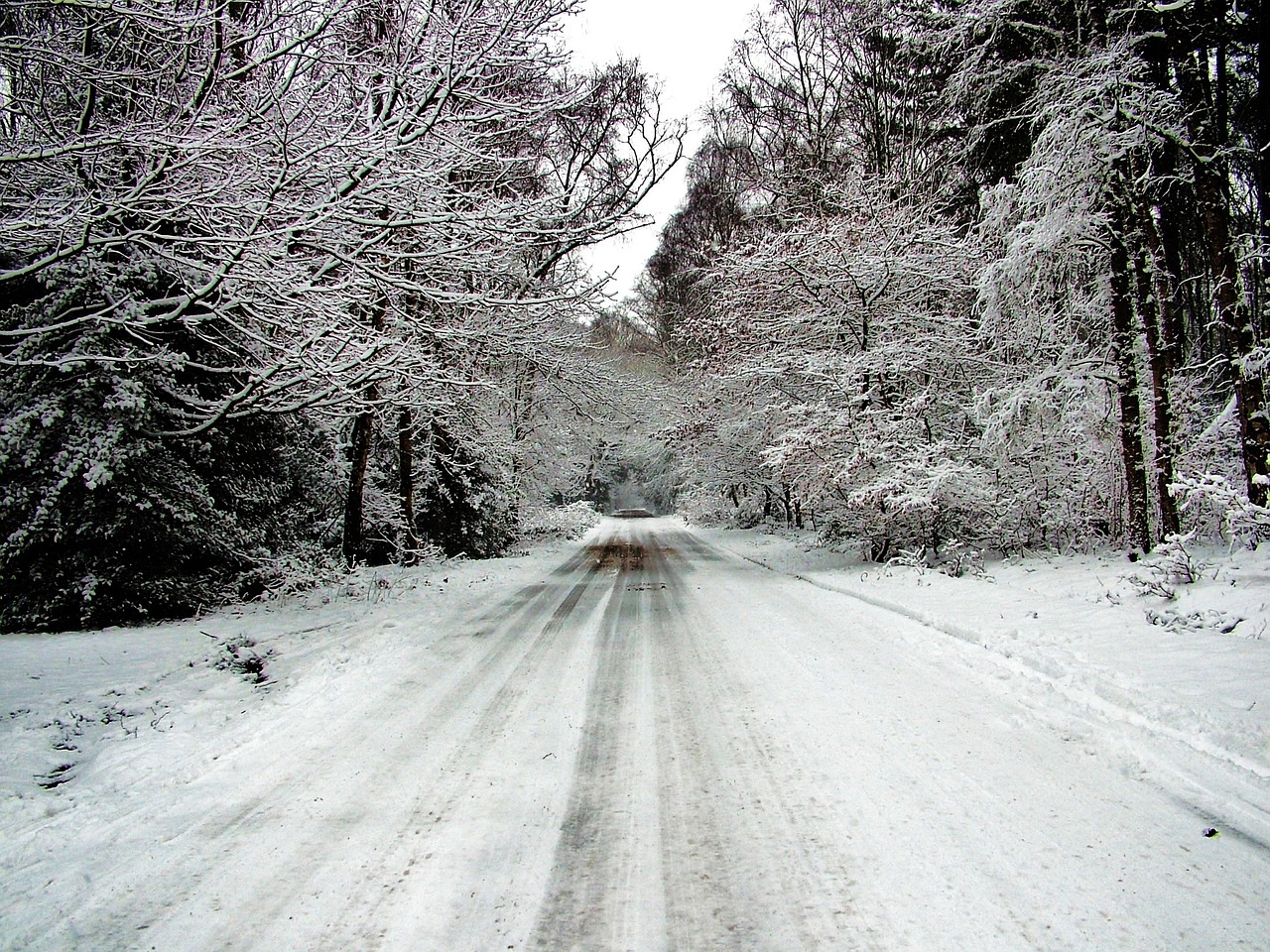 Snow White Winter - Free photo on Pixabay - Pixabay