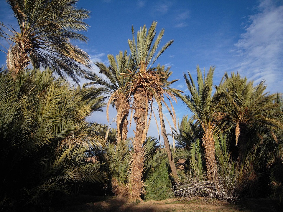 Morocco Sahara Travel - Free photo on Pixabay
