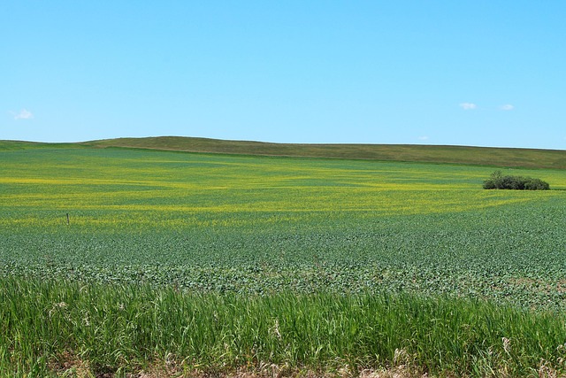Paysage Sur Le Terrain Rural Les - Photo gratuite sur Pixabay - Pixabay