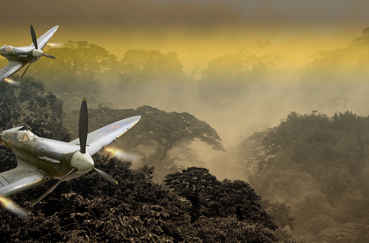 Fighter Plane Jungle - Free photo on Pixabay - Pixabay