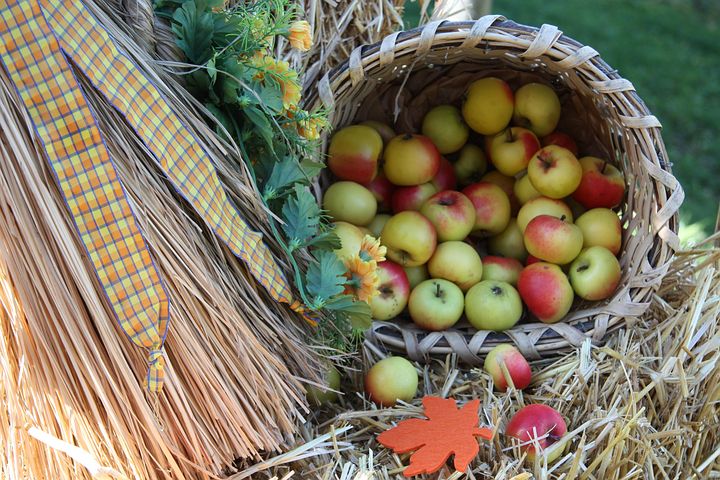 200+ kostenlose Obstkorb und Korb-Bilder - Pixabay