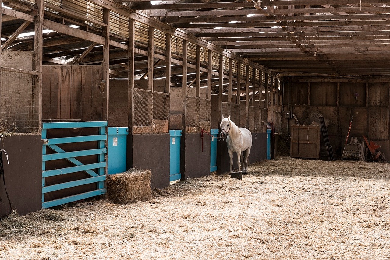 California Stable Horse - Free photo on Pixabay