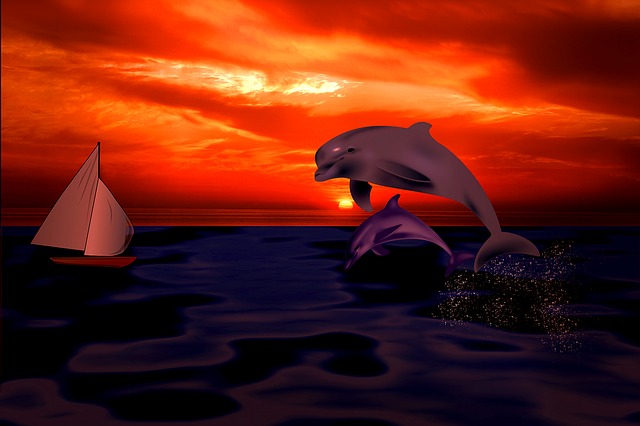 Download Dolphin Nature Sailing Ship Royalty-Free Stock Illustration ...