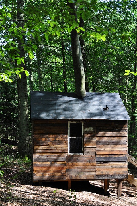 Bois Forestier Cabane Maison En - Photo gratuite sur Pixabay