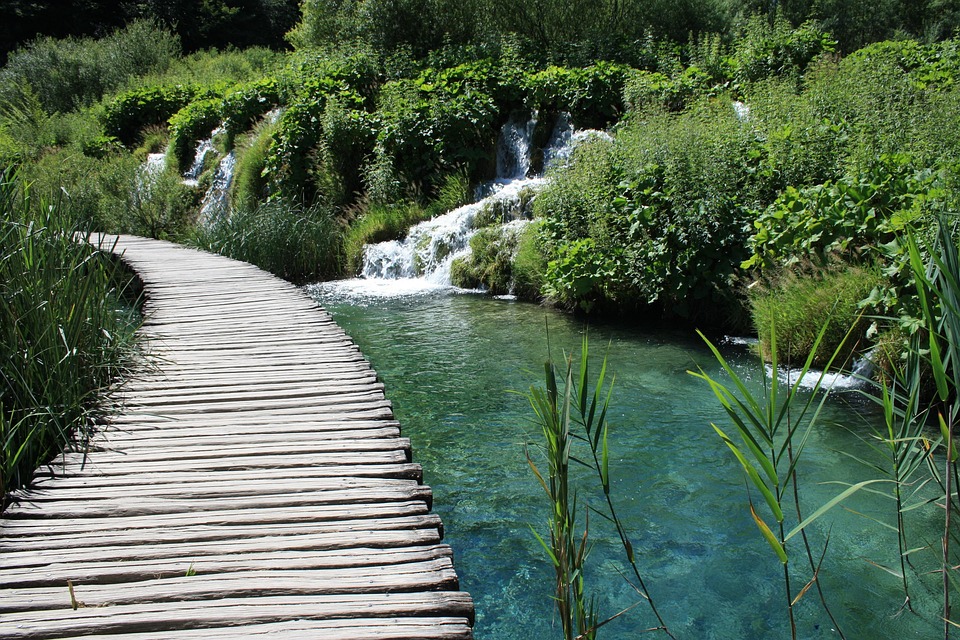 Web Agua Lago - Foto gratis en Pixabay - Pixabay