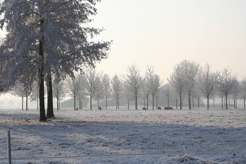 Winter Beauty Portrait - Free photo on Pixabay - Pixabay