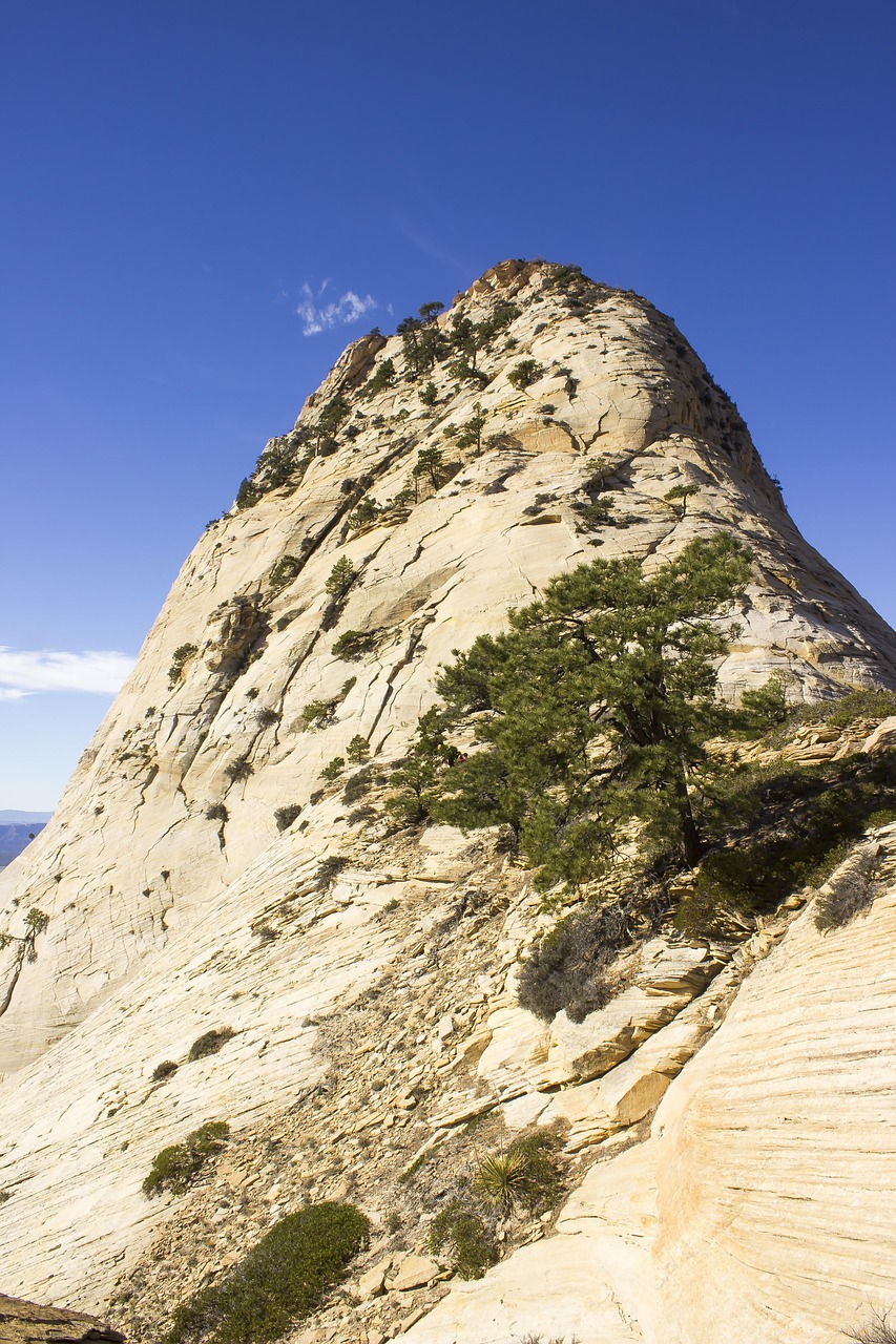 Mais de 100 imagens grátis de Parque Nacional De Sião e Natureza - Pixabay