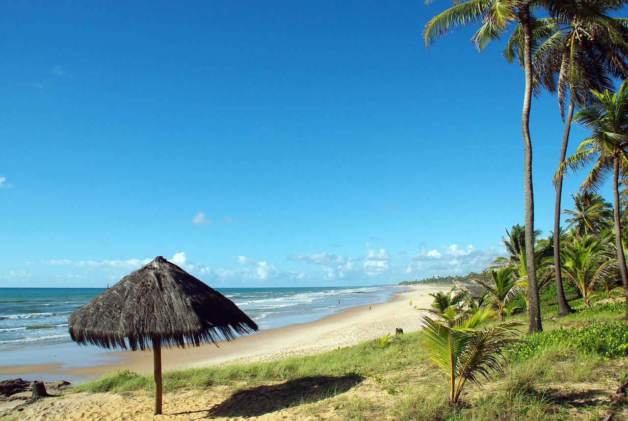 Brasil Salvador-De-Bahia Playa - Foto gratis en Pixabay - Pixabay