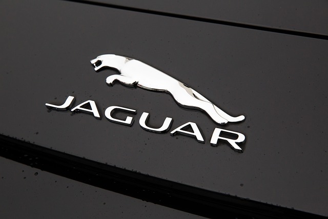 Jaguar Car Emblem Classic - Free photo on Pixabay - Pixabay