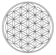 Leonardo Da Vinci Flower - Free image on Pixabay