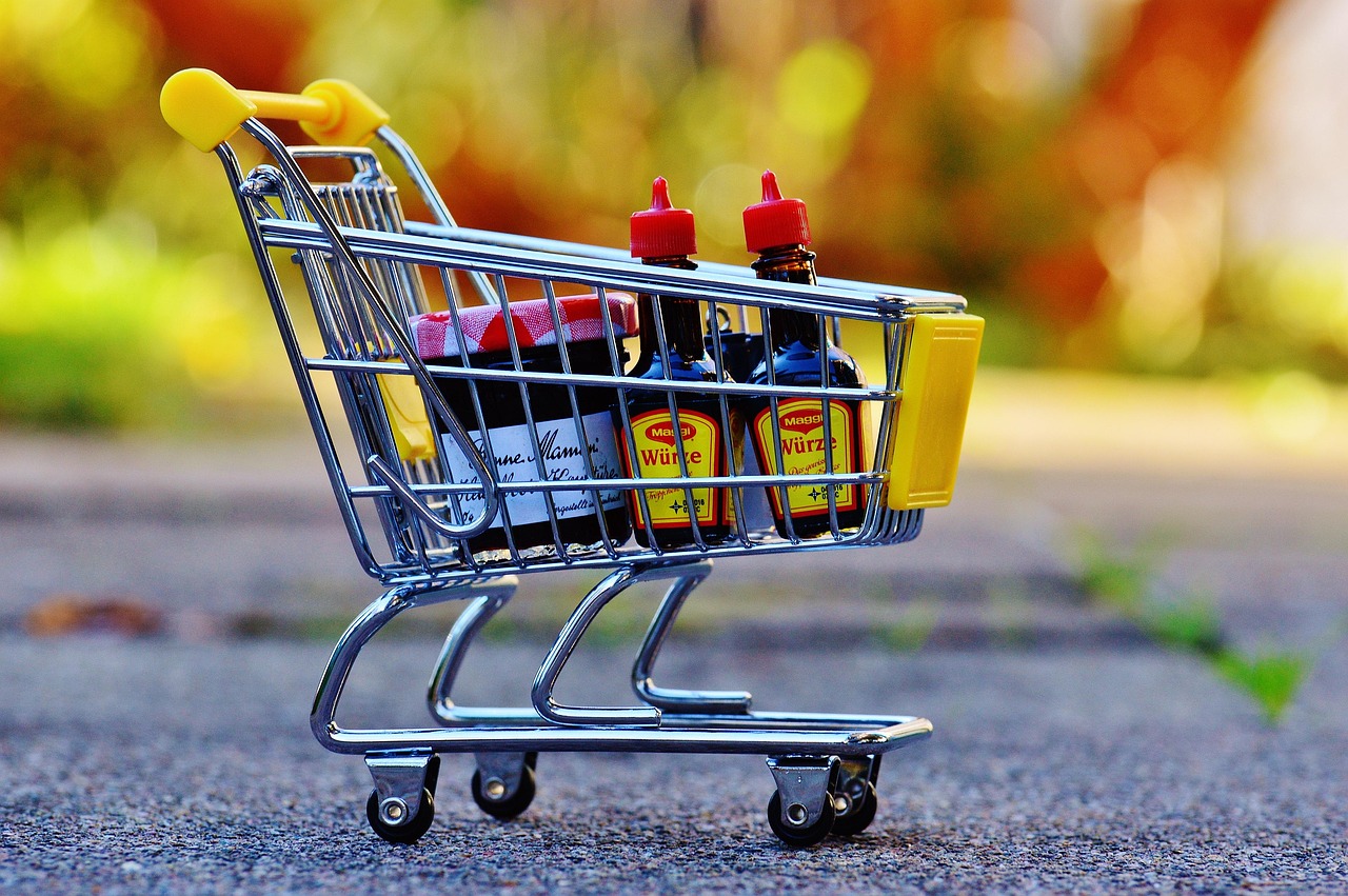 Shopping Venture - Free photo on Pixabay - Pixabay