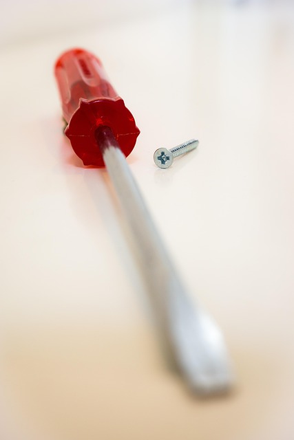 Screwdriver Screw Tool - Free photo on Pixabay - Pixabay